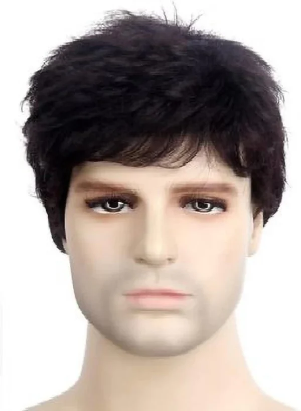 Mens Short Black Band Member Wig Straight